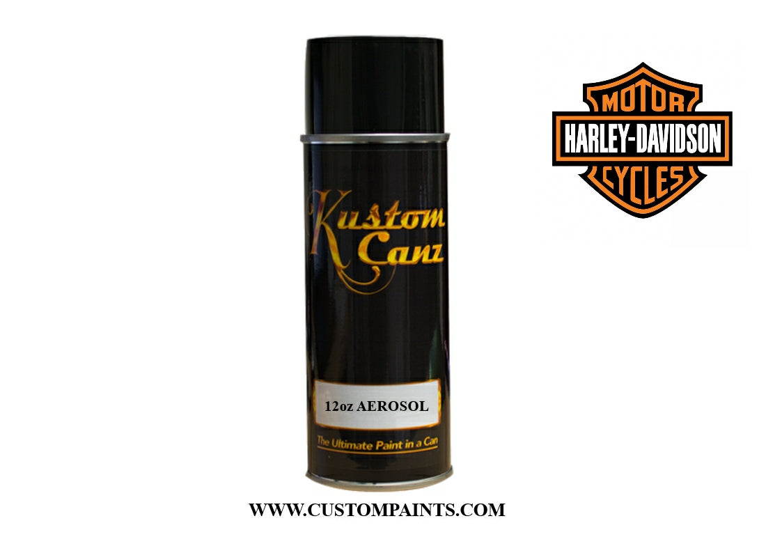 Harley Davidson: Sterling Silver - Paint code S28643 – Custom Paints Inc