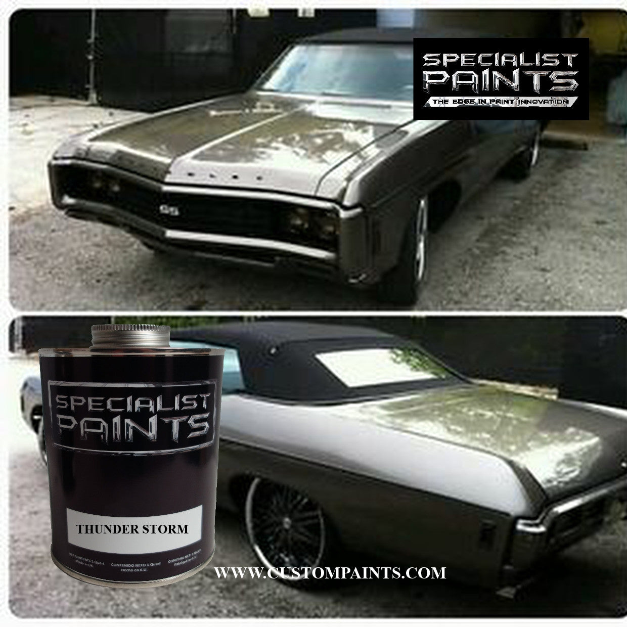 Outrageous Pearl Paint by Custom Paints – Custom Paints Inc