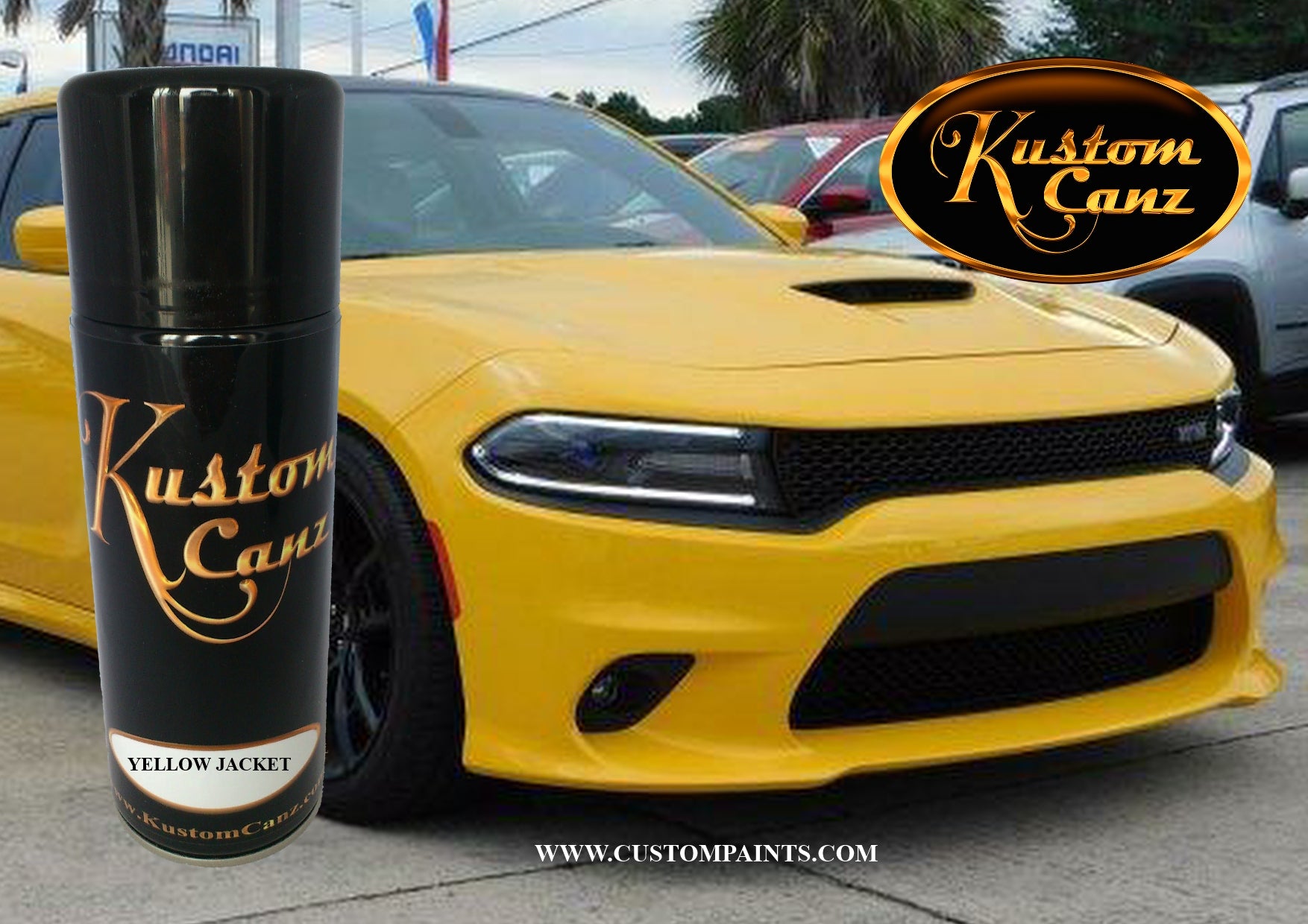 Dodge Challenger Car Colours – Custom Paints Inc